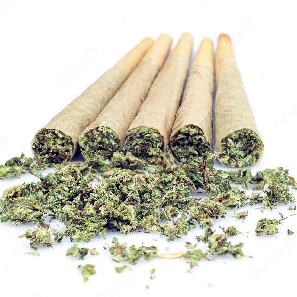 Premium Pre-Rolls /1G